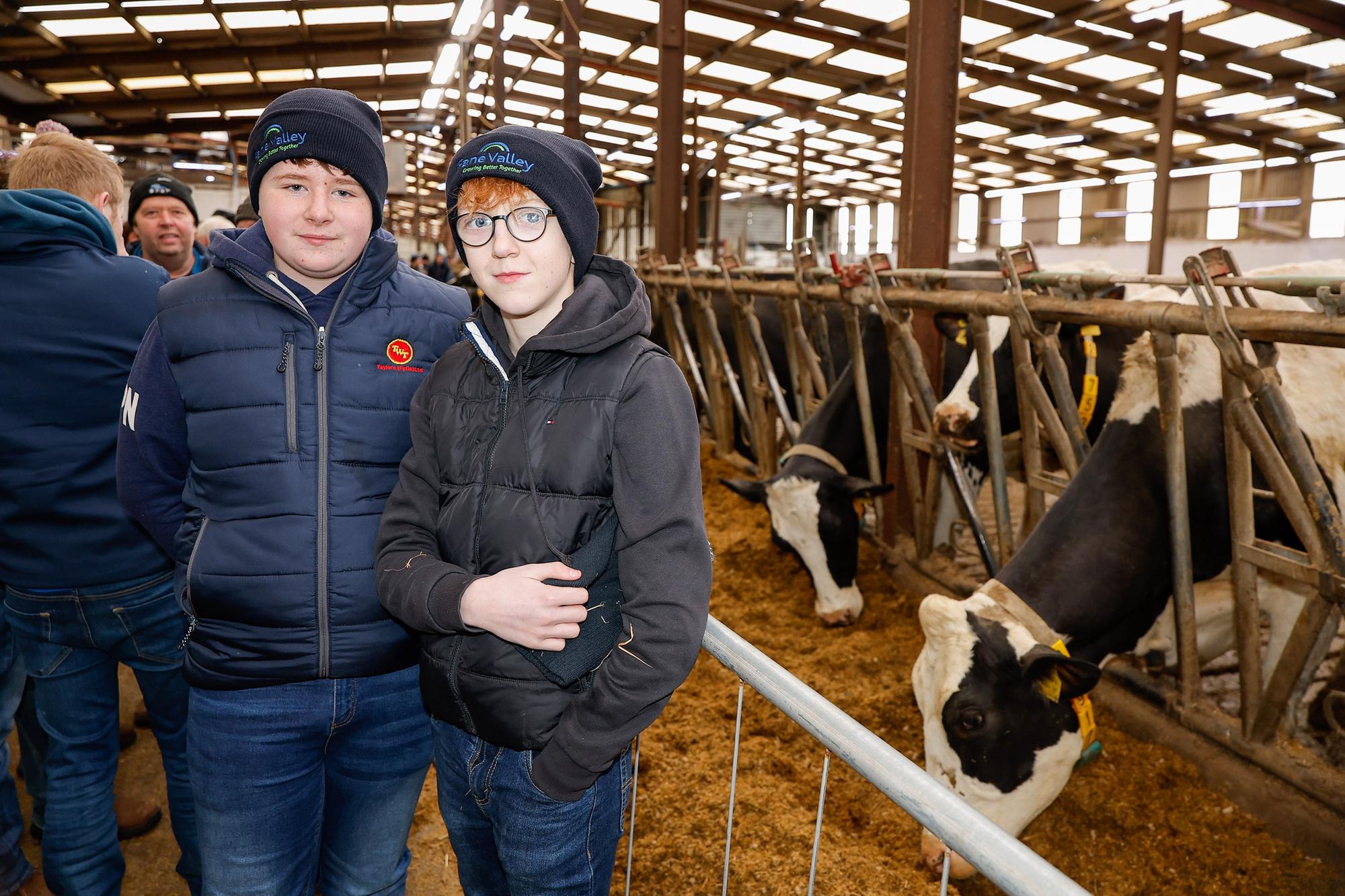 Redhouse Holsteins hosts World Wide Sires progeny showcase - Genetics ...