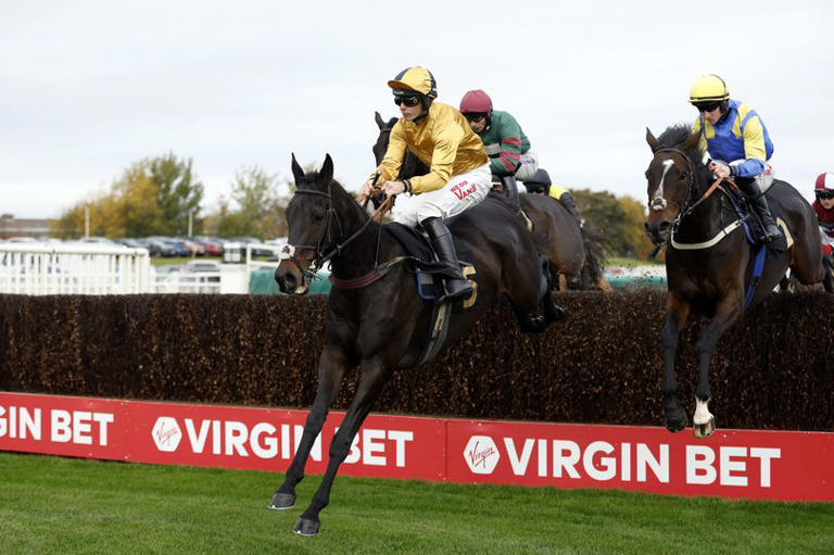 Imperial Saint wins the Peter Marsh Chase at Haydock Park