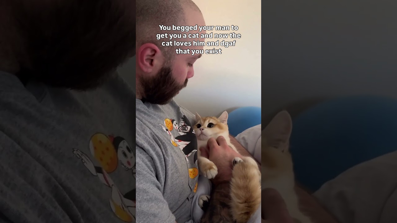 My cat likes my boyfriend more