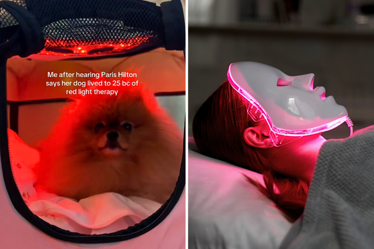 Do dogs benefit from red light therapy? Experts have a surprising answer