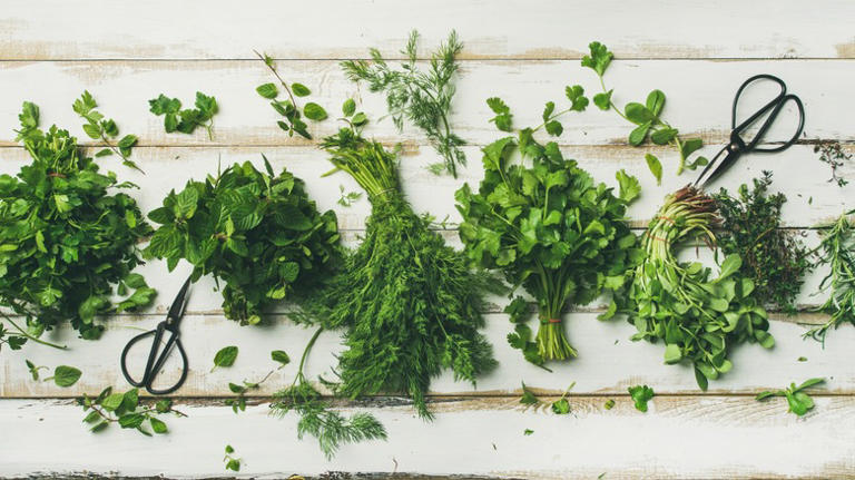 Don't throw away your old herbs just yet. Try this instead