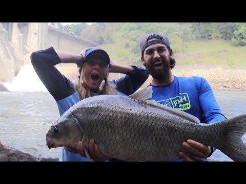 Giant fish surprises anglers during crappie fishing trip