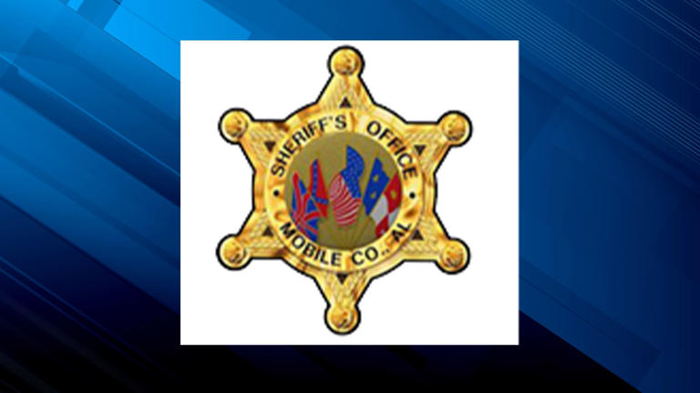 Mobile Sheriff’s Office reports jail management system is down