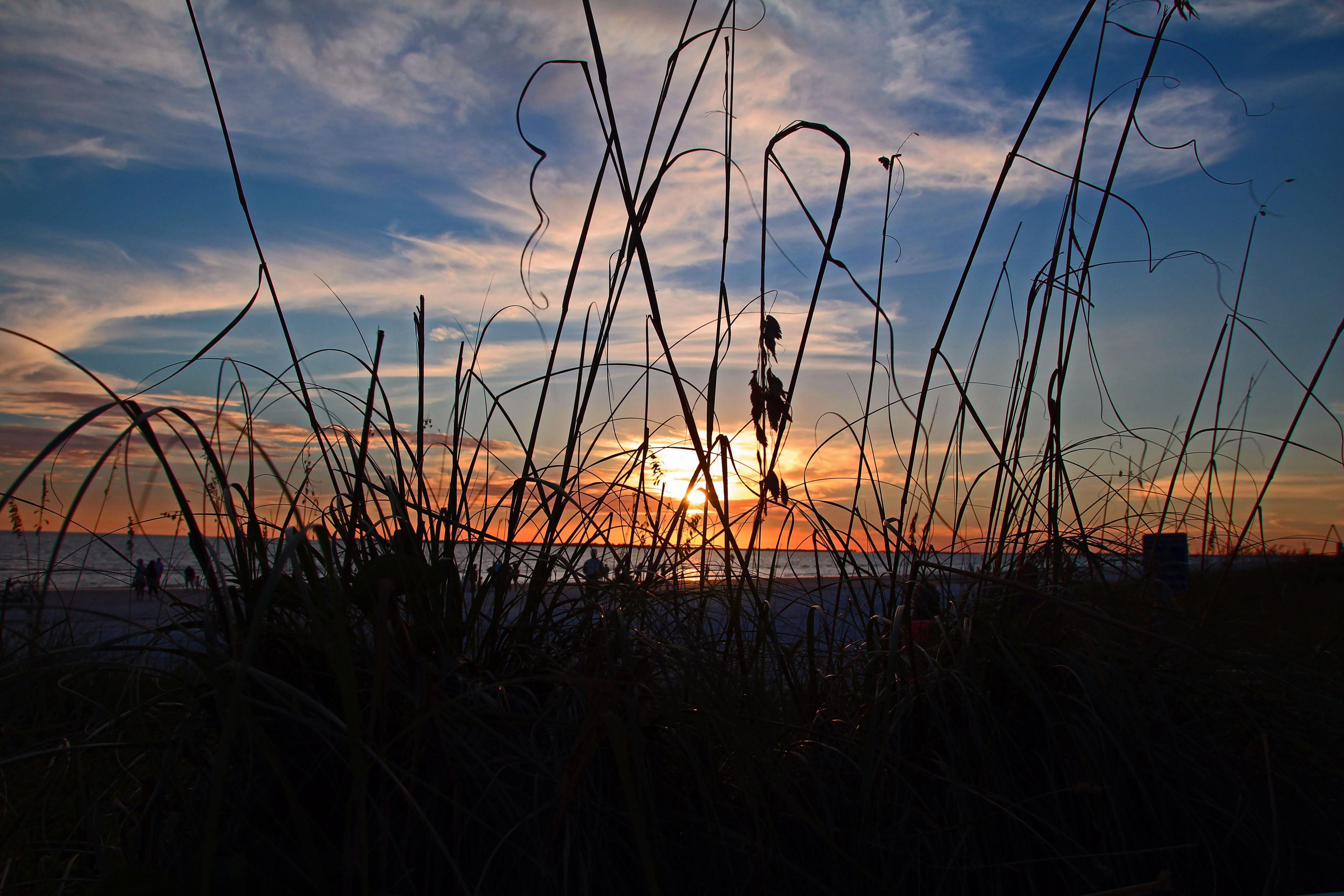 Best SW Florida reader photos from Fort Myers Beach, Bonita Springs