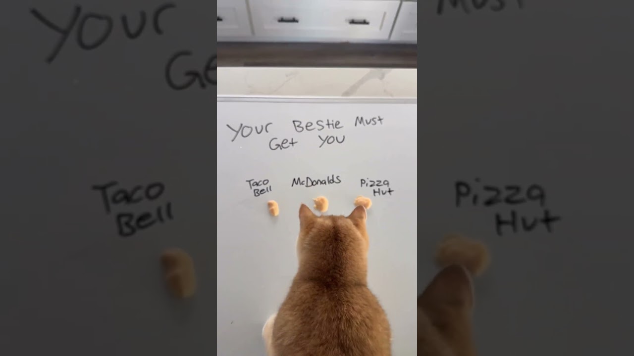 See tiny feline take control of every treat decision