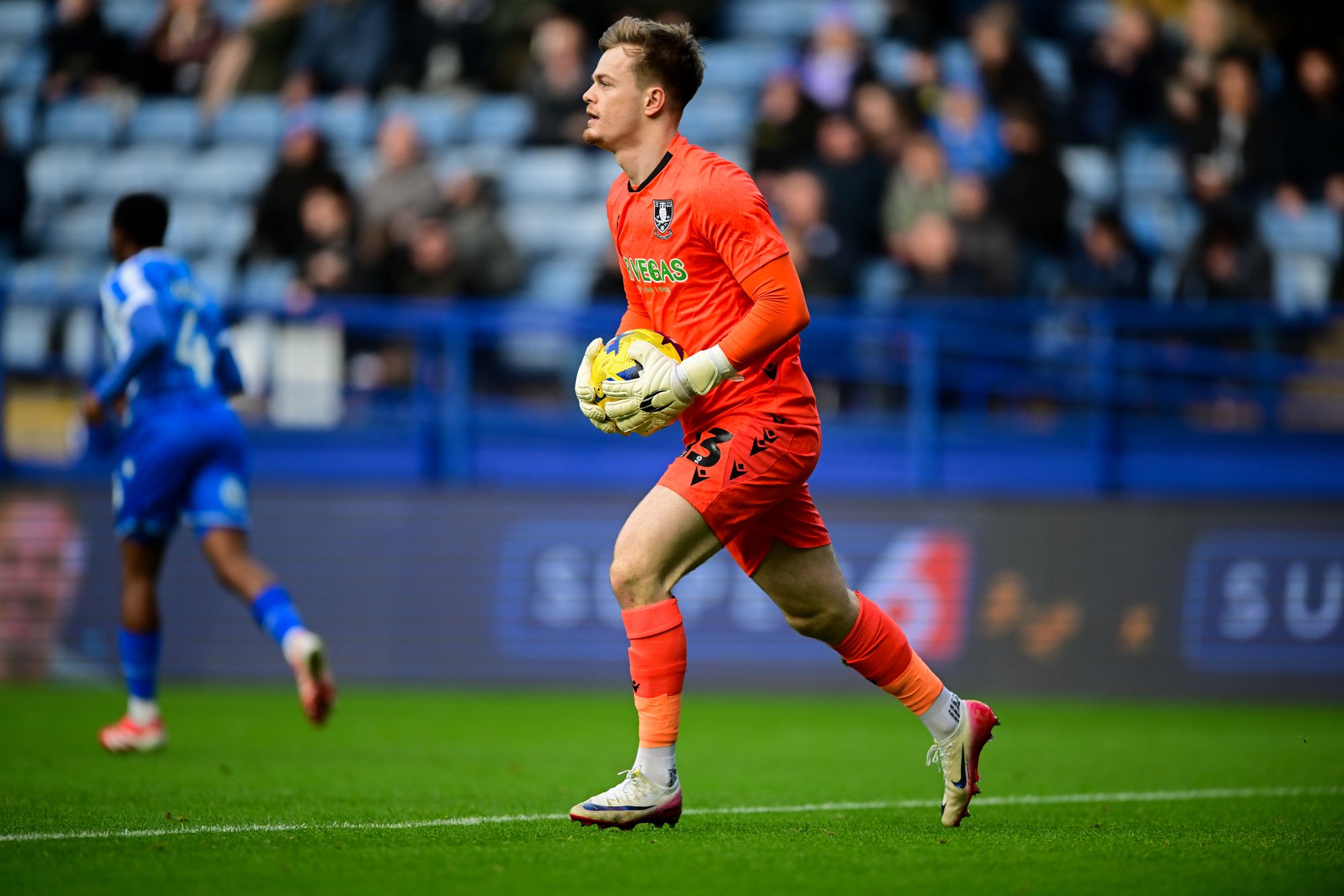 Henrik Pedersen credits Sheffield Wednesday duo after sealing Murphy ...