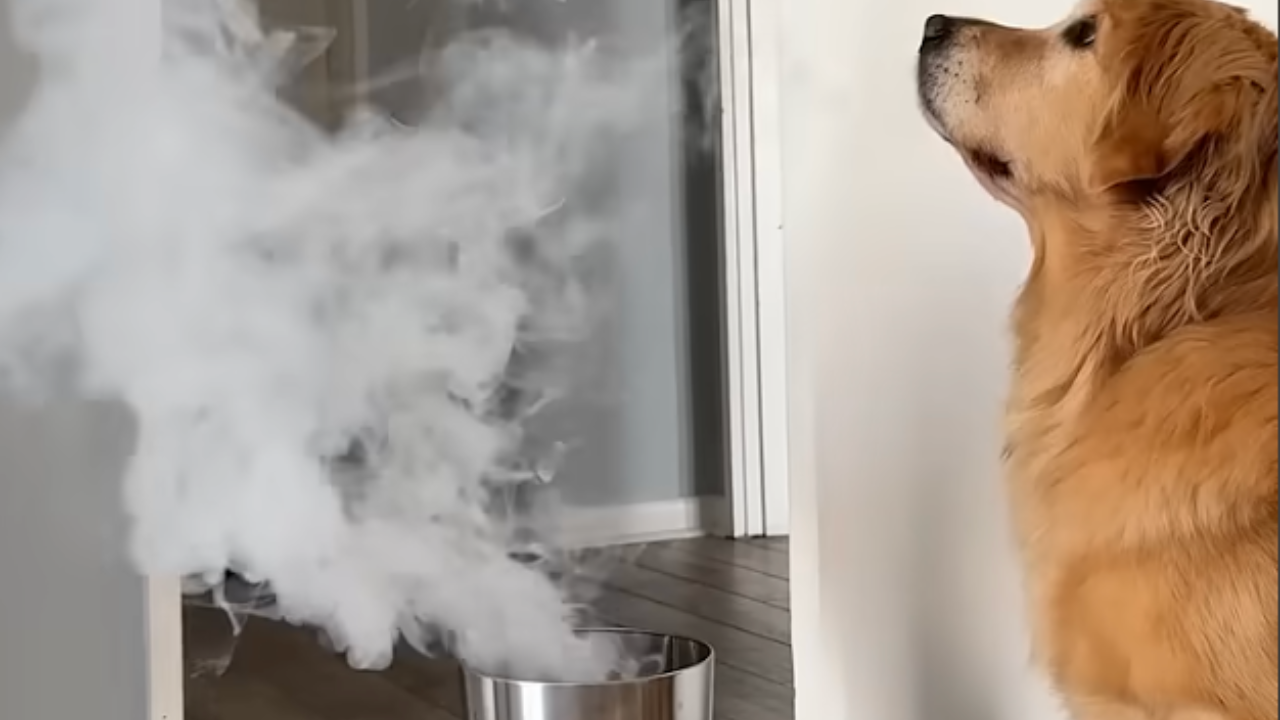 I was late for breakfast… big mistake