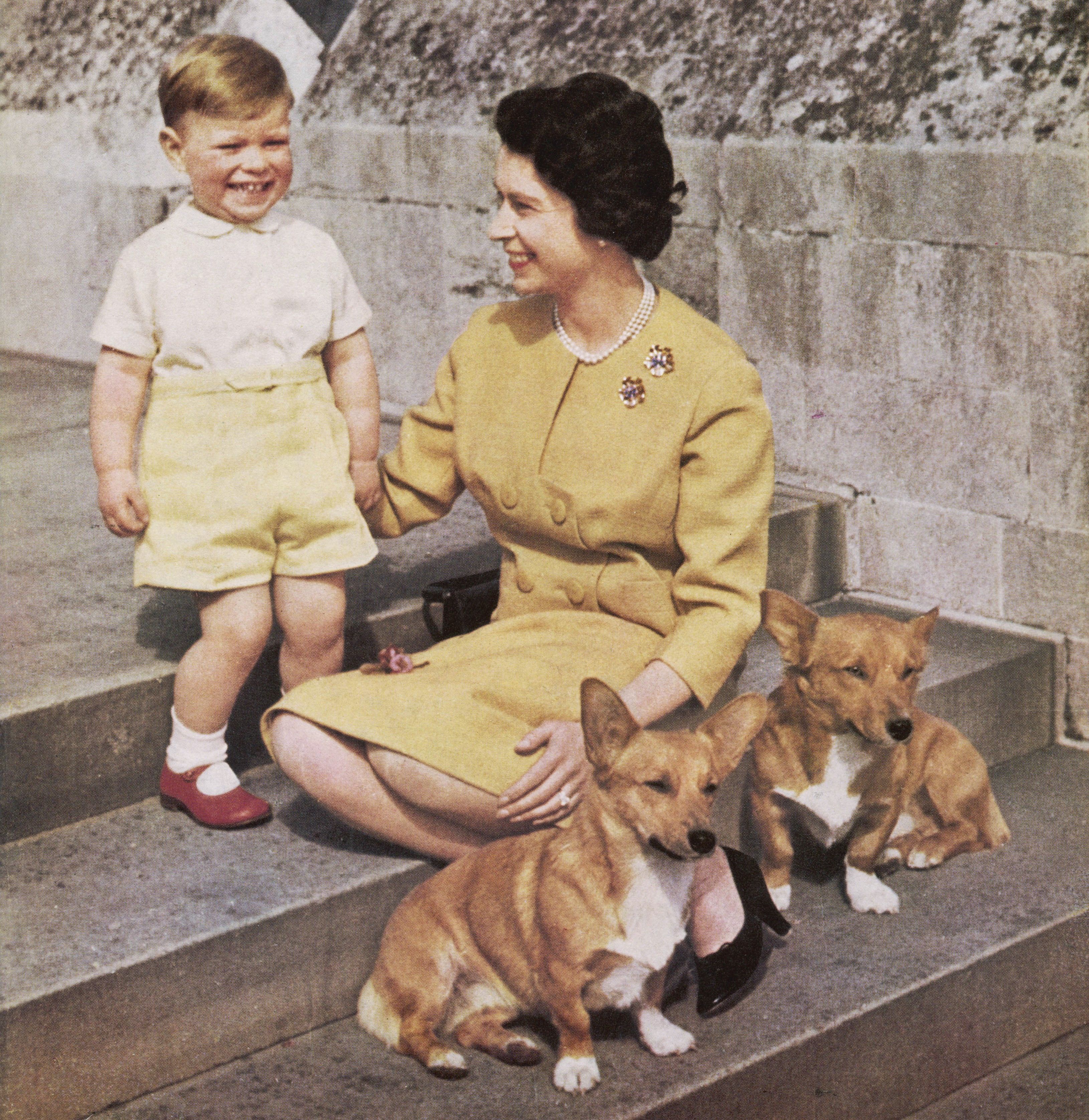 33+ unusual things the Queen owned