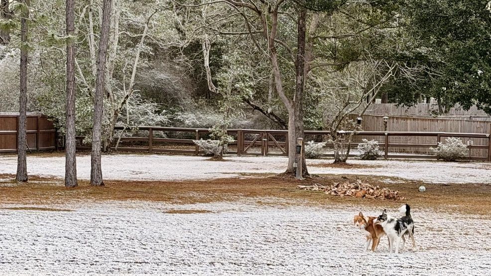 Photo gallery: Snow hits Northwest Florida, Alabama coast for second ...