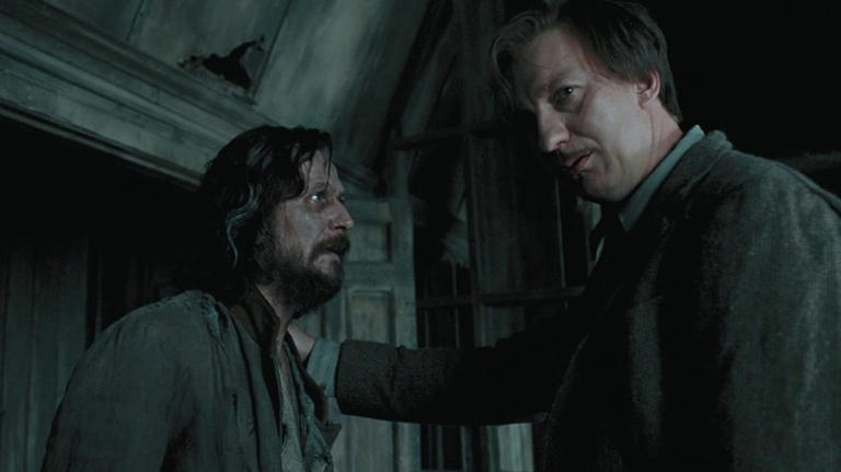 Harry Potter fans are divided over which father figure had the saddest arc