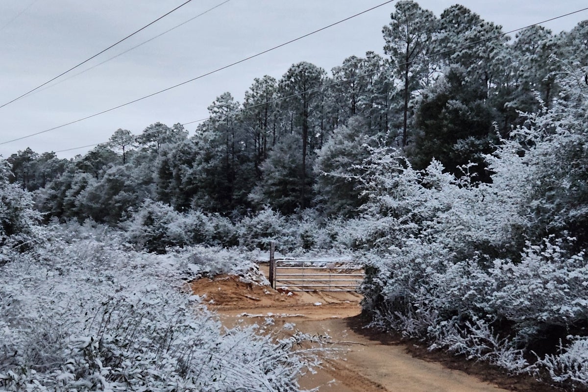 Parts of Florida see snow in unusual winter phenomenon