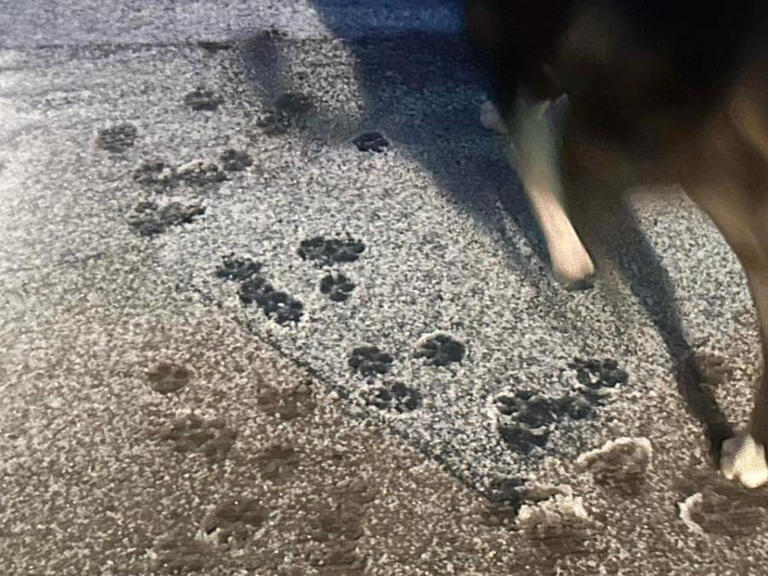 Photos: Snow across the Panhandle