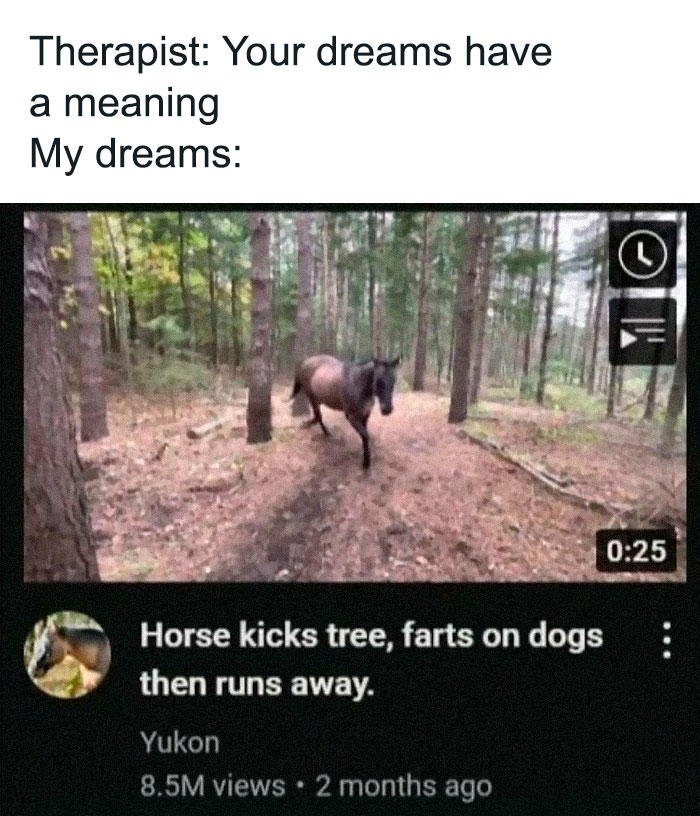 31 random posts from this Instagram account that are both funny and ...