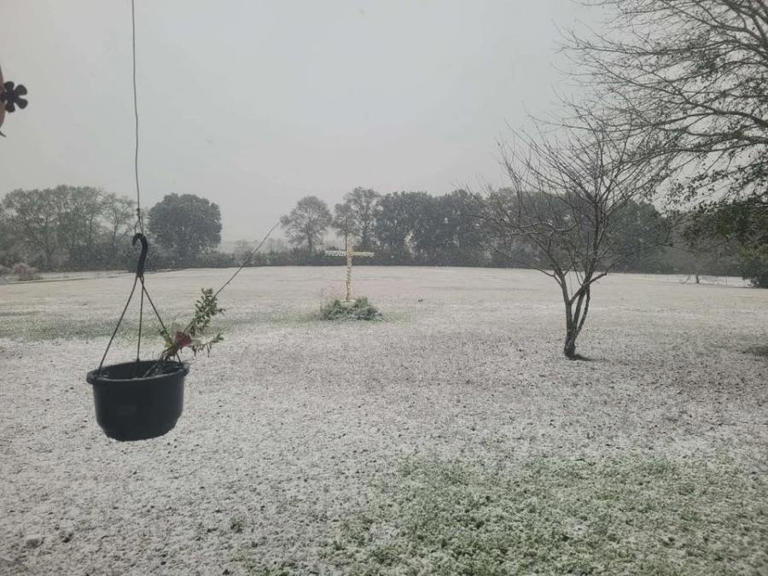 Photos: Snow across the Panhandle