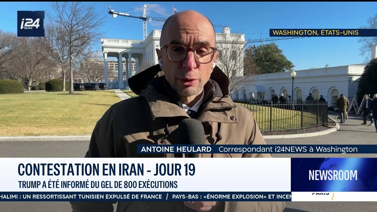 Erfan Soltani, « symbole de la contestation » en Iran, aurait été ...