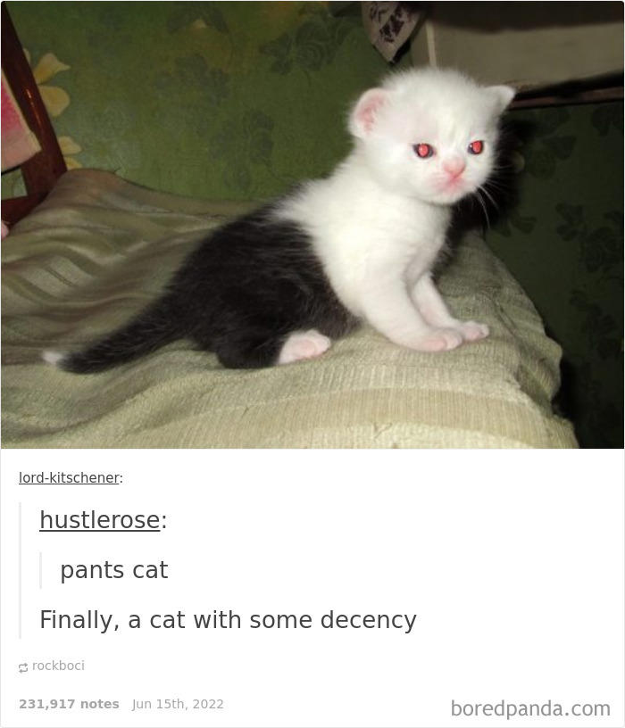46 wholesome pics to heal your soul that are heckin’ awesome