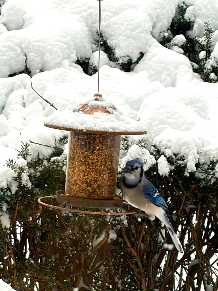 Live updates on North Jersey snowstorm and what to expect MLK Jr. Day