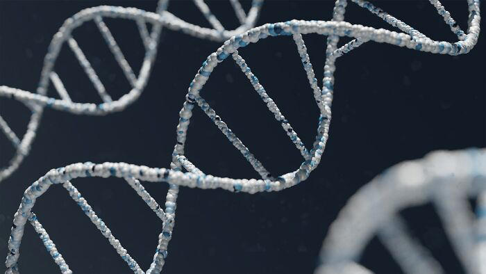 Genetics explained: 47 scientific facts regarding DNA and heredity
