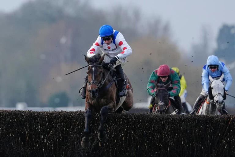 Sir Alex Ferguson enjoys perfect weekend as his top racehorse wins ...