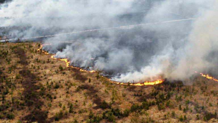 Multiple departments respond to large brush fire in Isle of Wight