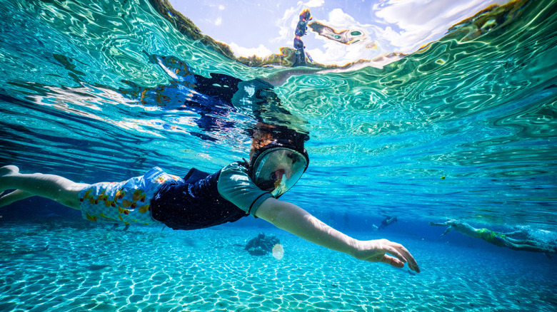 Between Gainesville and Tampa is a Florida hideaway with natural ...
