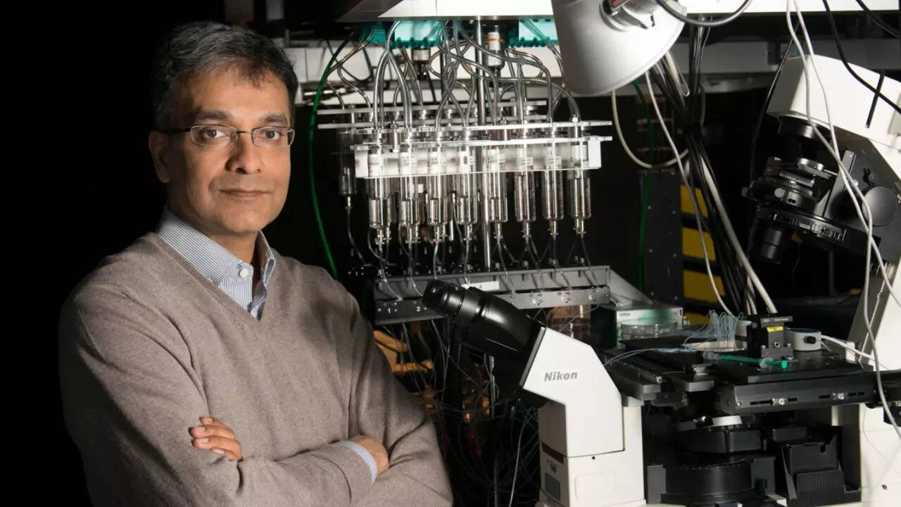 Meet Aravinthan Samuel: Indian-origin Harvard professor building a ...