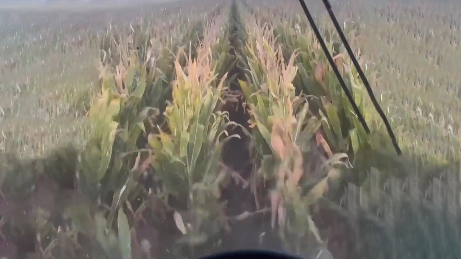 Loading trucks is an art form