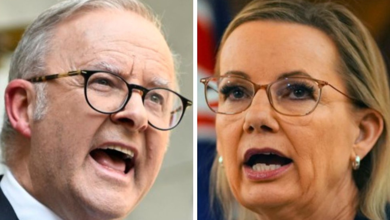 'Correct': Albo's drastic call on Bondi laws