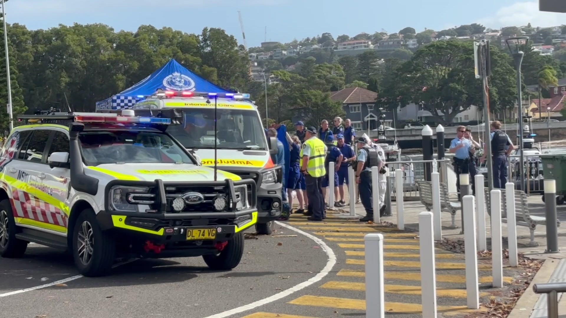 Shark attack at Sydney Harbour beach leaves boy in intensive care with ...