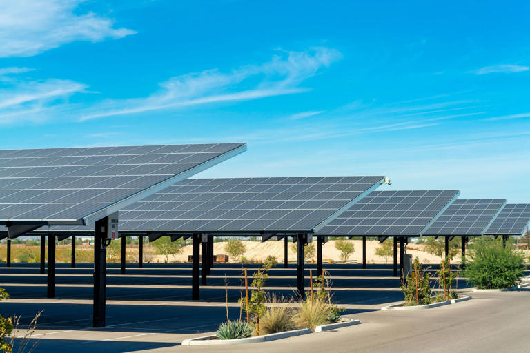 CFE regalará chips de internet a quienes cumplan con estos requisitos