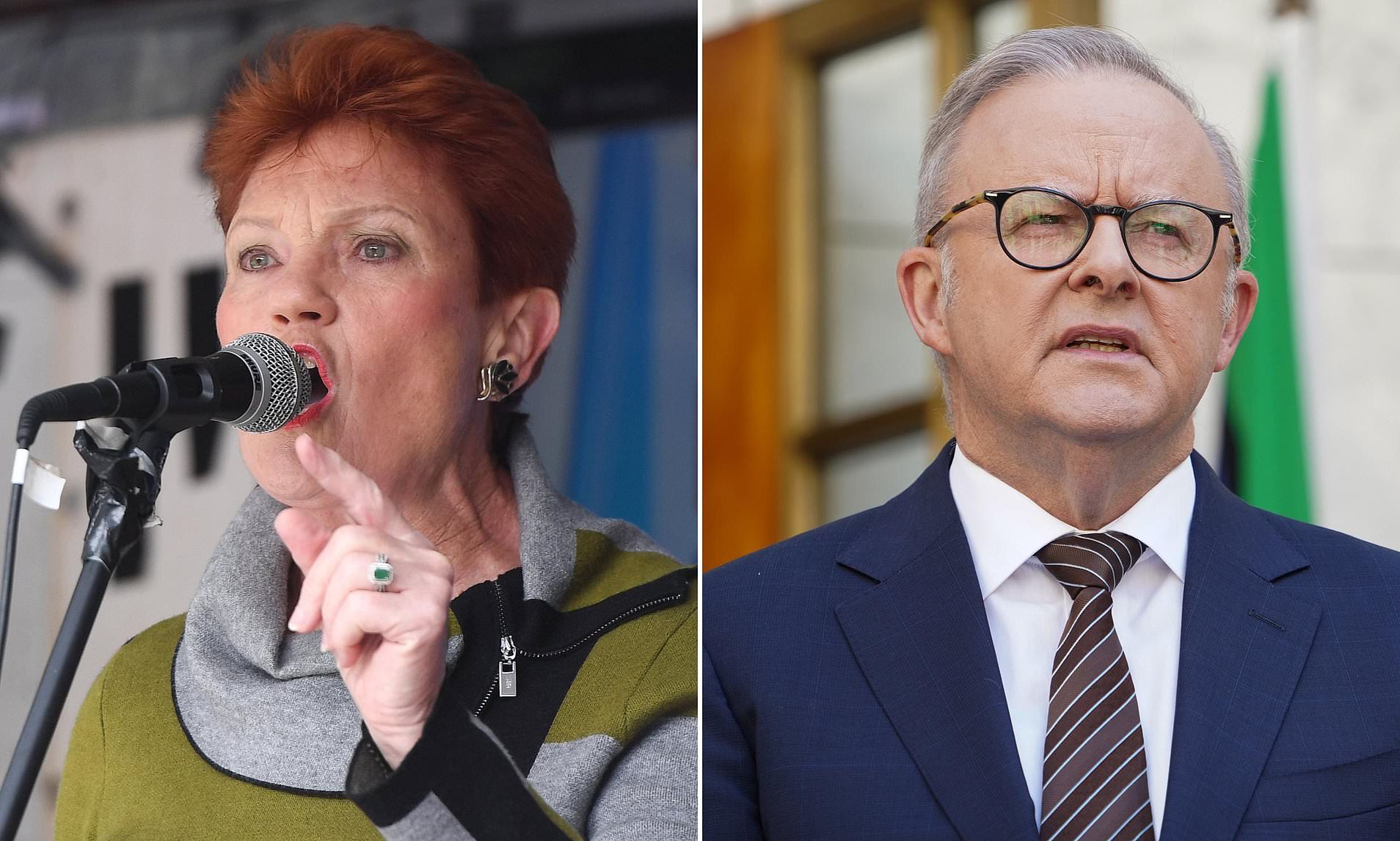 One Nation is the 'real opposition': Coalition in crisis as Hanson ...