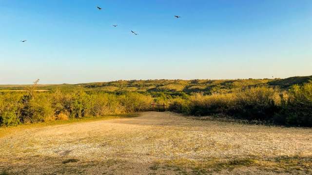 Experts thrilled after capturing photos of rare creatures in US ...