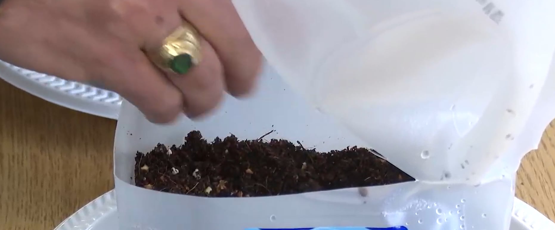 Haslett residents learn winter gardening at community church event