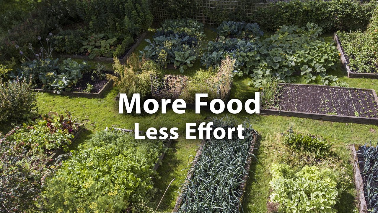 Why crop rotation may not be the answer