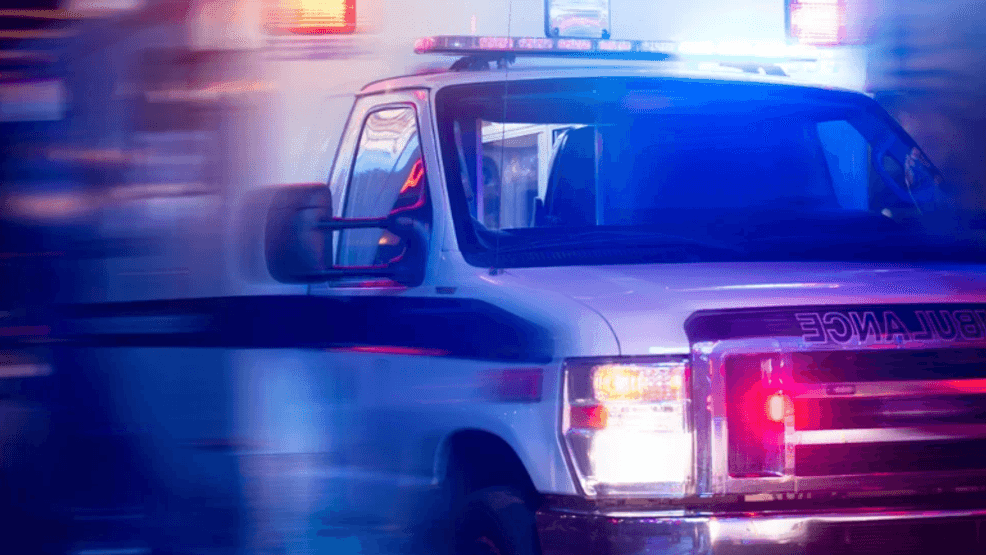 Deputy, juvenile injured after flare gun discharges during police ...