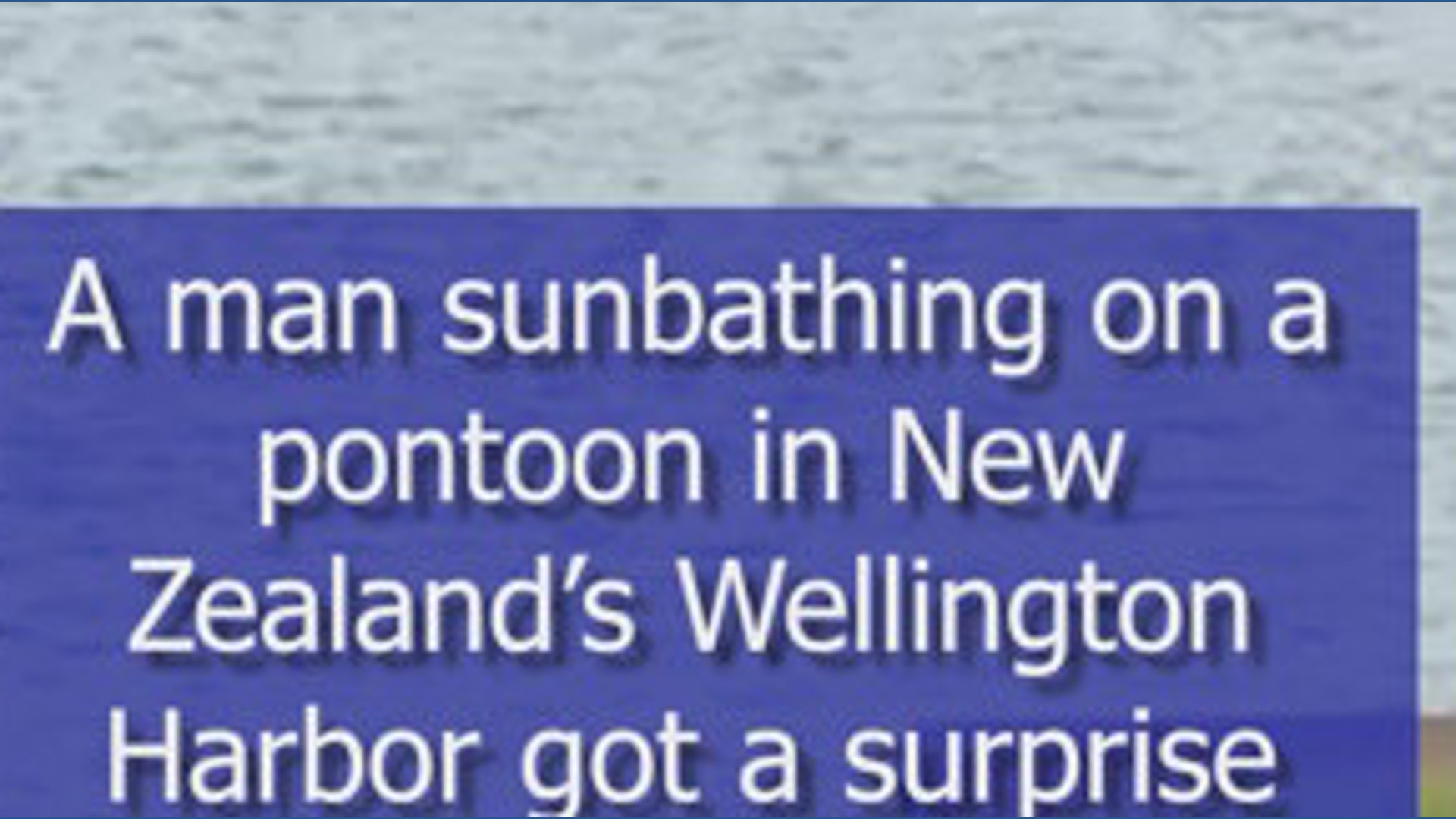 Man on pontoon being encircled by orcas