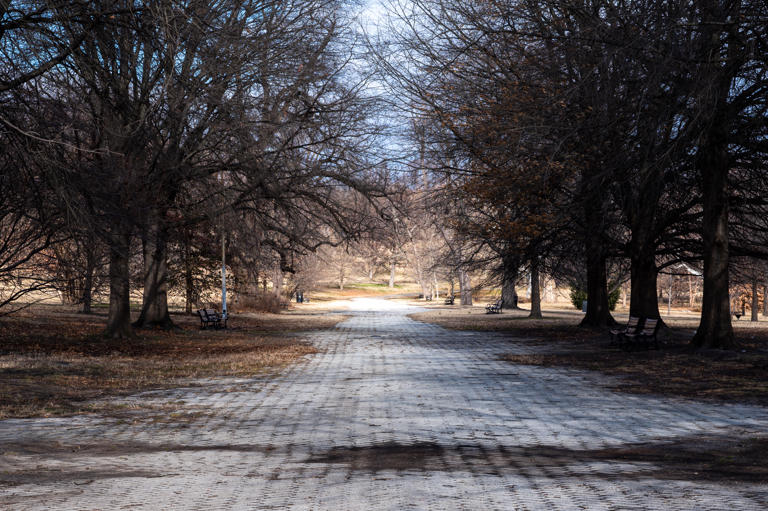 Code Blue extreme weather alert issued by Baltimore health commissioner