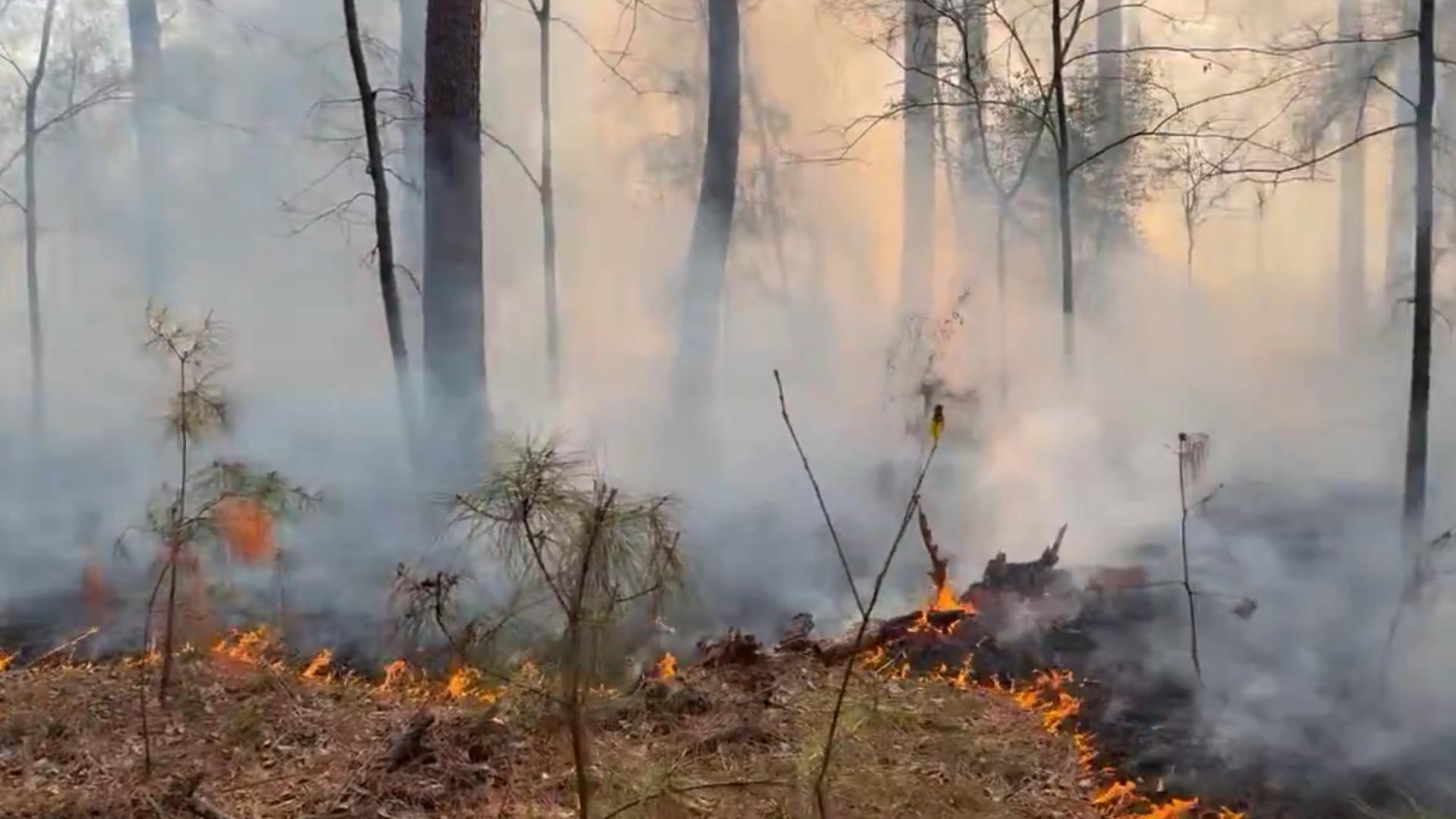 Smoke rising from fire burning in Addicks Reservoir in west Houston