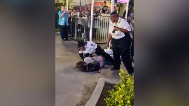 Video shows injured Knott’s Berry Farm employee restrain guest as crowd ...