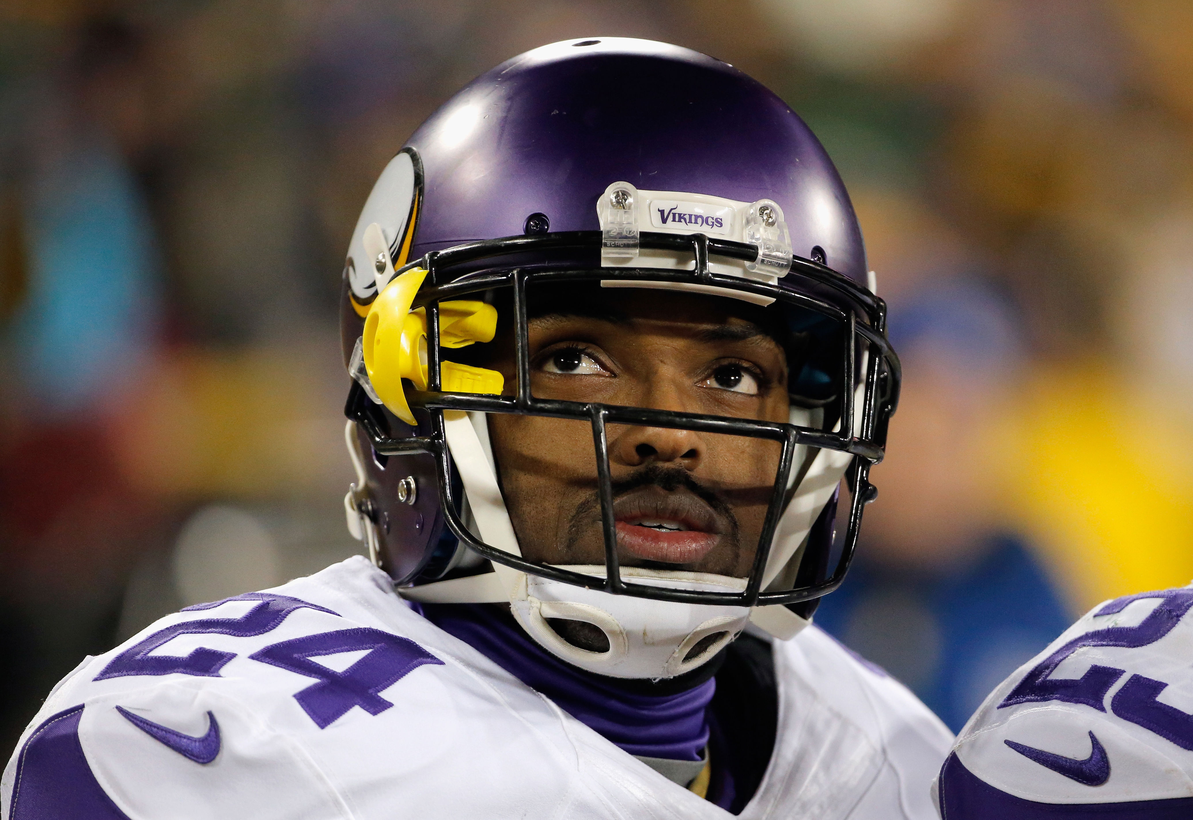 Ex-Viking returns to pro football in coaching role