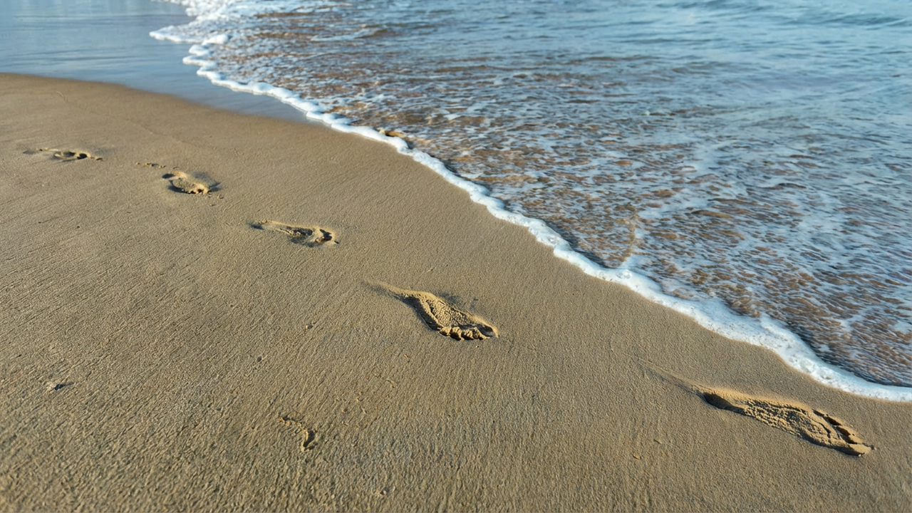 12,000-year-old human footprints discovered in Utah