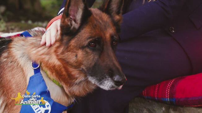 La rinascita di Bella