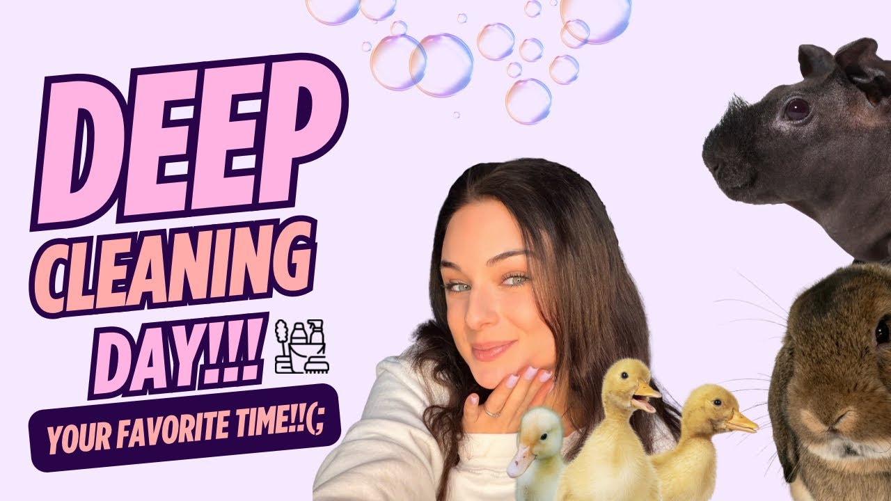 Why deep cleaning day with pets is always an adventure