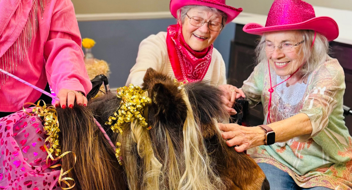 Seniors are celebrating Dolly Parton's 80th birthday—with a pony in a wig