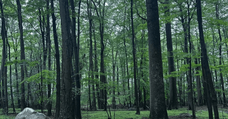 This might be the most demanding hike you can do in New Jersey