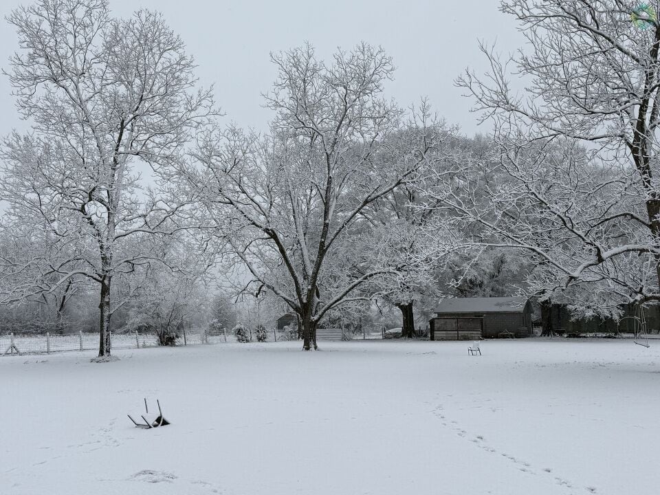 Georgia Power offers recommendations, resources for handling winter weather