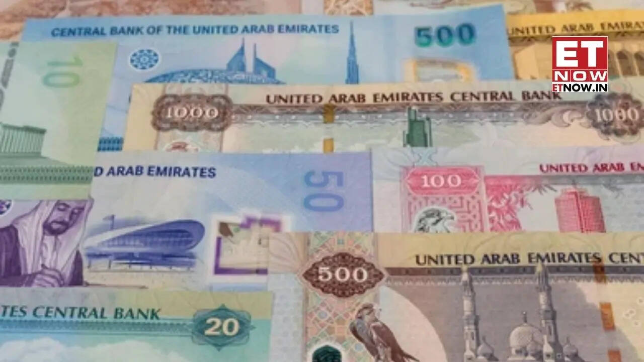 Dubai sets minimum wage for private-sector employees at Rs 1.48 lakh ...