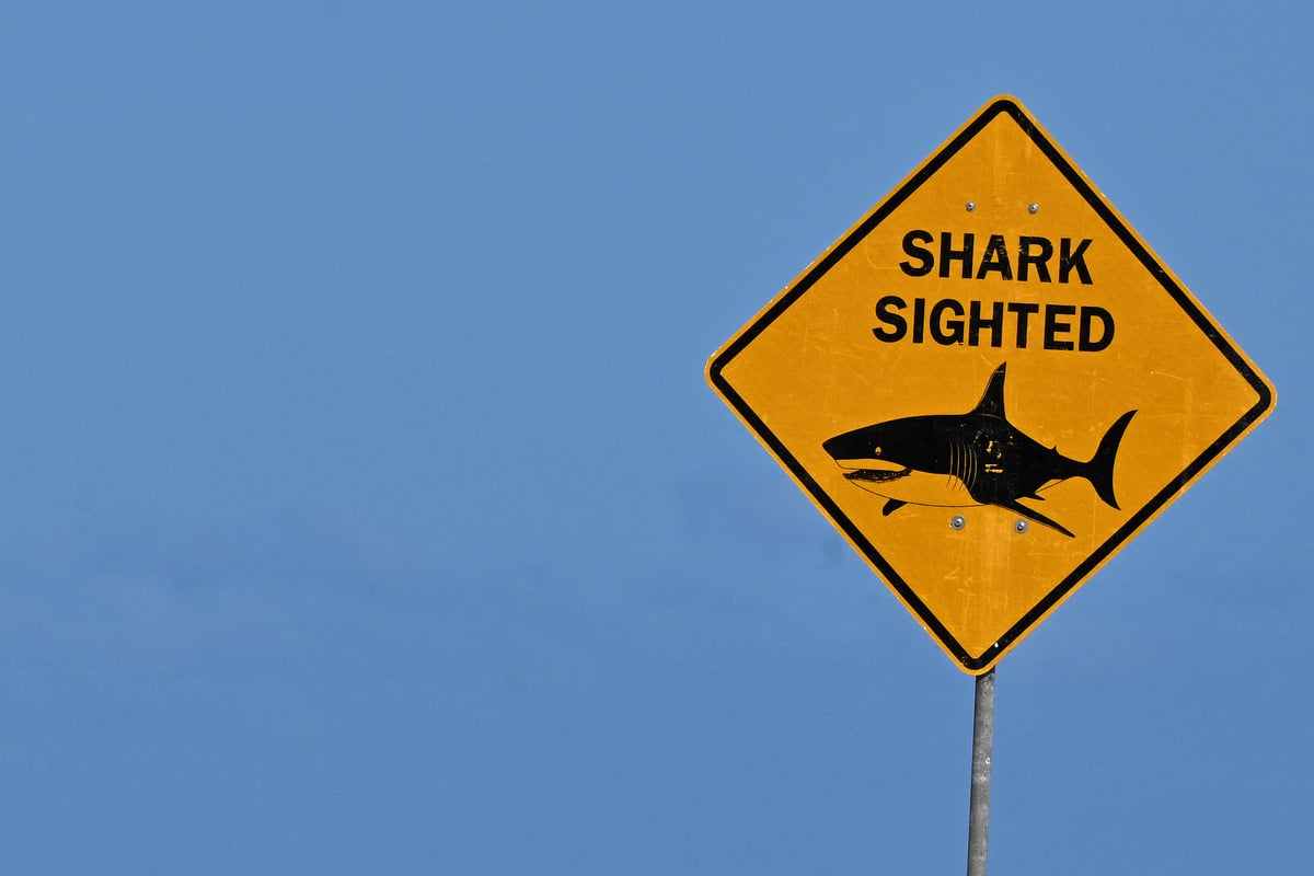 Brutal shark attack leaves 13-year-old boy in critical condition