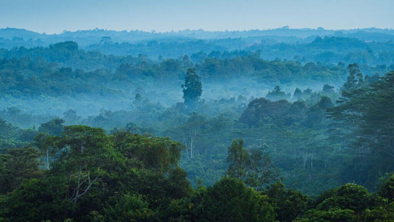 What scientists found in 1.4 billion-year-old air is reshaping our ...