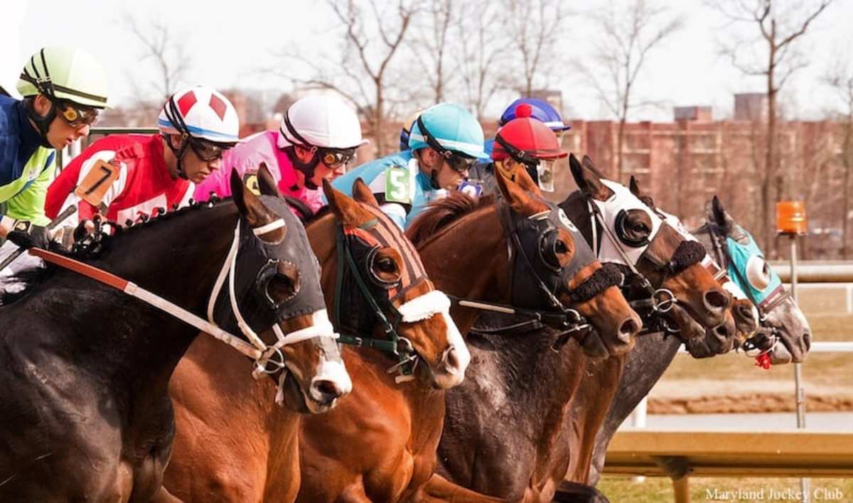 Laurel Park to host 'February First Chance, Last Chance Handicapping ...